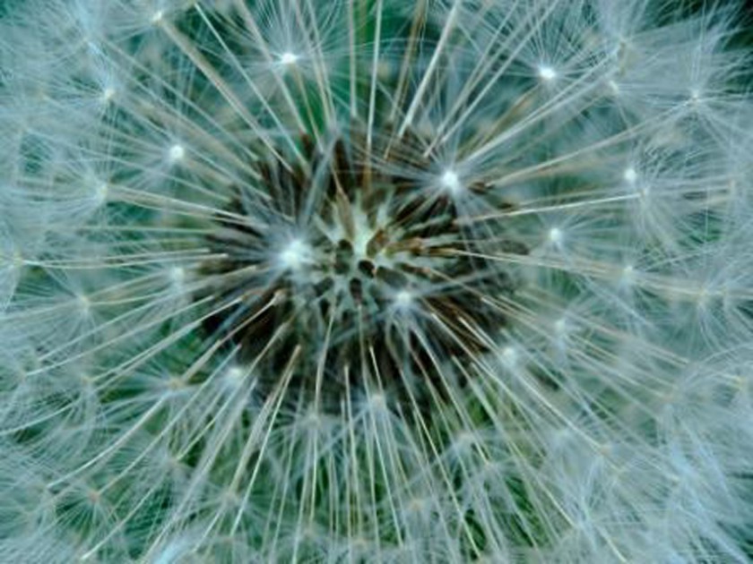 Pong Yoop Workshop | Mantra – Atmung - Intention | Yoga Guide