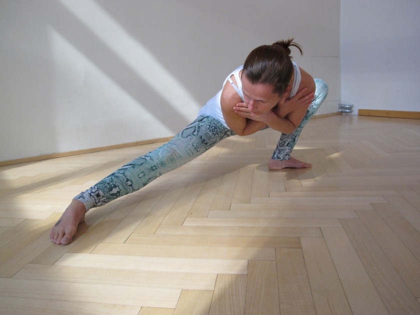 Shadow Yoga Workshop Chaya Yoddha Sancalanam | Yoga Guide